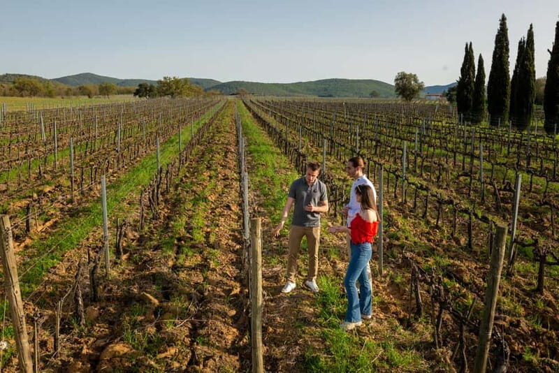 Tuscany: Wine Tasting Experience - Exploring Tuscany’s Wine Culture with Poggioargentiera