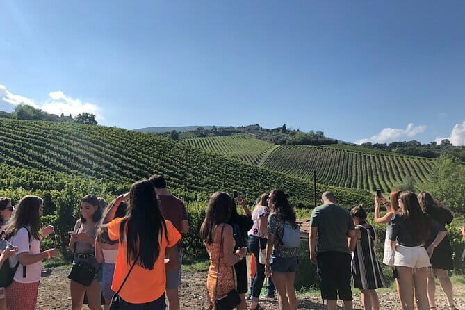Tuscany Wine Tastings with Panoramic View - Florence to Chianti - Review Summaries and Authentic Feedback