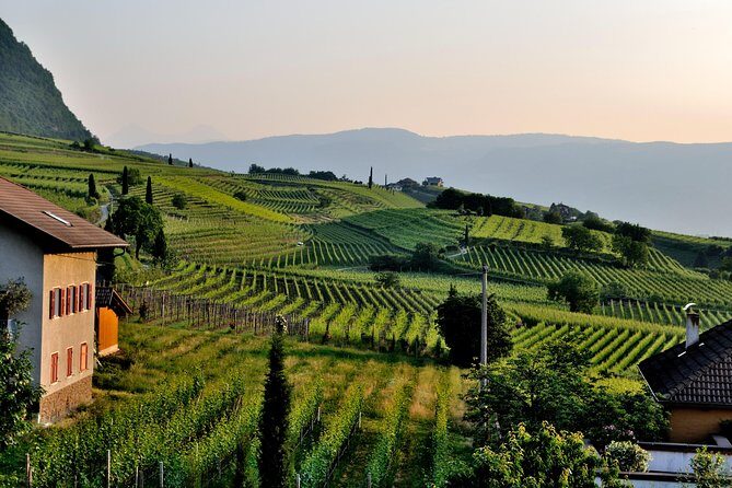 Tuscany Wine Tour from Rome with Private Driver - The Benefits of a Private, Guided Experience
