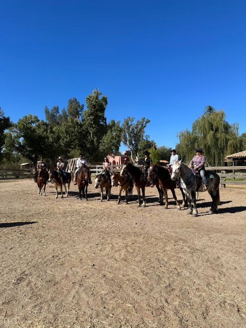 Tuscon: Rancho Cerros Horseback Riding Tout with Great Views - Key Points