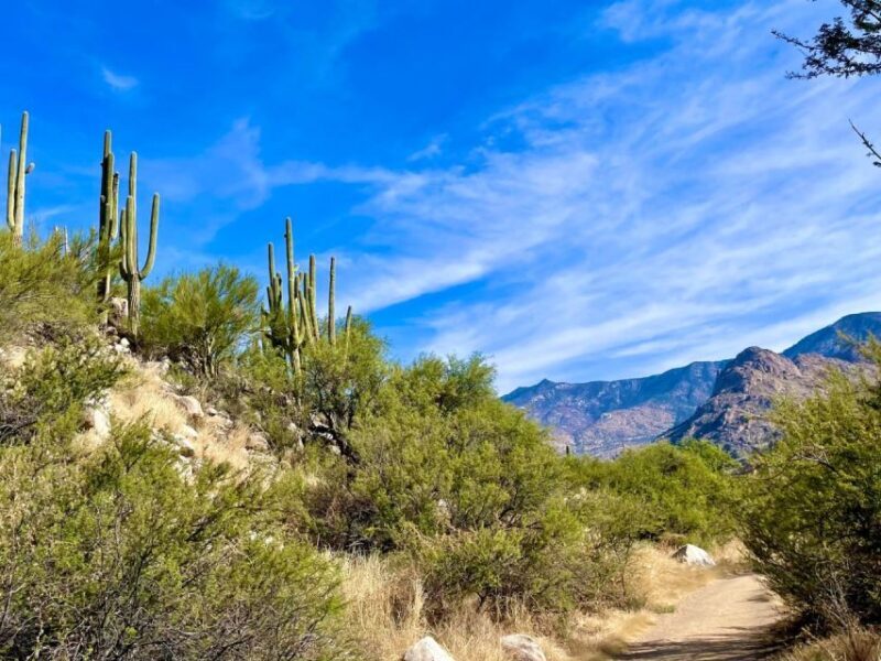 Tuscon: Rancho Cerros Horseback Riding Tout with Great Views - Practical Considerations