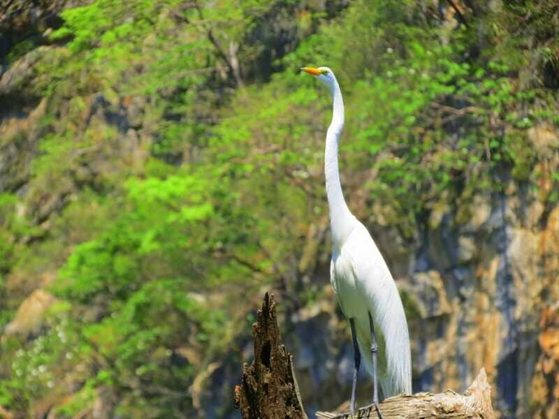 Tuxtla: Sumidero Canyon, San Juan Chamula & Zinacantán Tour - Who Will Love This Tour?