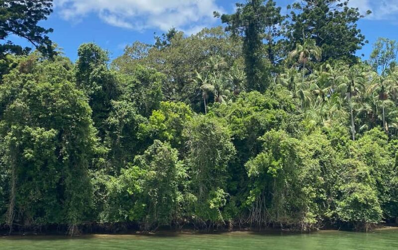 Tweed River Cruise: relax with a Morning Tea cruise - The Sum Up
