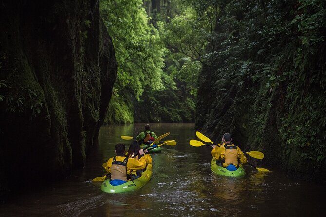 Twilight Glowworm Kayak Tour  Lake Karapiro - FAQ