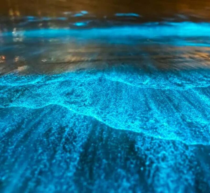 Twilight Sea Canoe Phang Nga Bay with Bio-Luminescent - Final Thoughts: Who Should Consider This Tour?