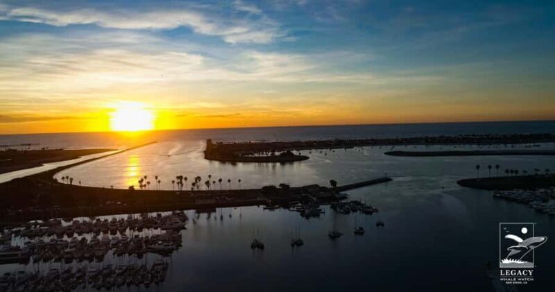 Twilight Tour with San Diego Natural History Museum Whalers - What to Bring and Tips