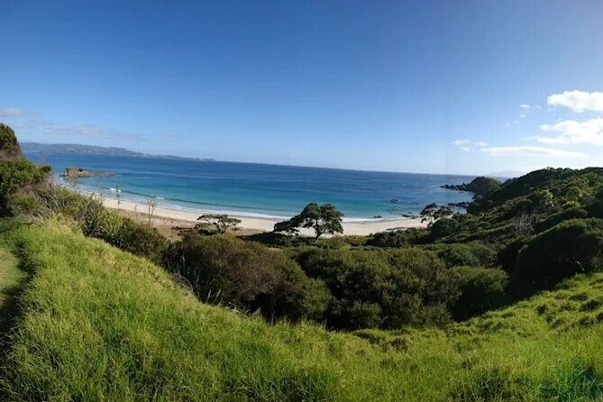 Twilight Wild Kiwi Bird Encounter Private Tour - FAQs