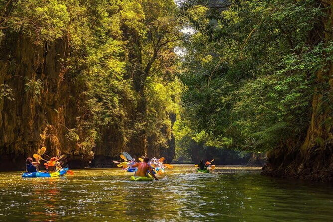 Twiligth Sea Canoe and Bioluminescent Plankton - FAQ