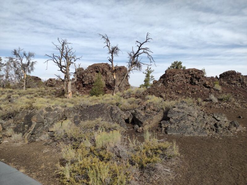 Twin Falls: Craters of the Moon Full-Day Tour with Lunch - Discovering Craters of the Moon: A Practical Guide to Idaho’s Unique Landscape