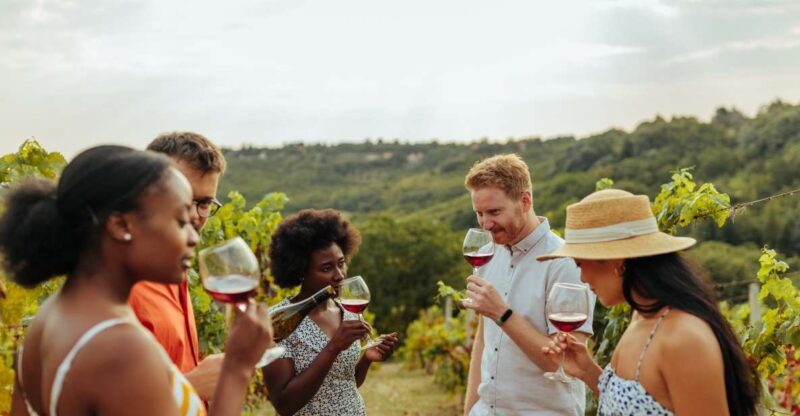 Twin Falls: Guided Half-Day Scenic Tour and Wine Tasting - Final Thoughts: Who Is This Tour Best For?