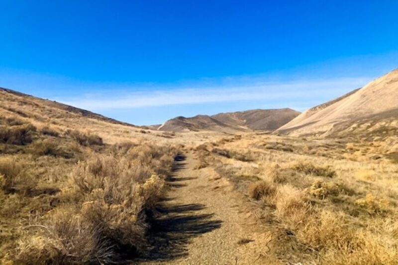 Twin Falls: Off the Beaten Path Guided Half-Day Tour - FAQ