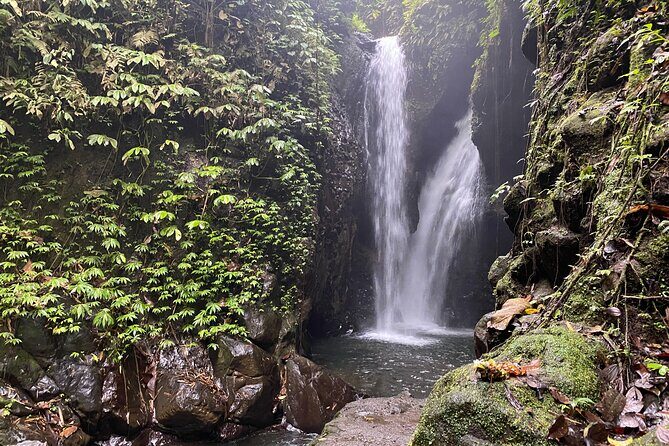 Twin Waterfalls Private Tour in Bali - Exploring the Twin Waterfalls Private Tour in Bali