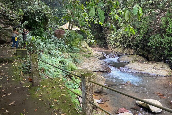 Twin Waterfalls Private Tour in Bali - The Experience: A Detailed Look