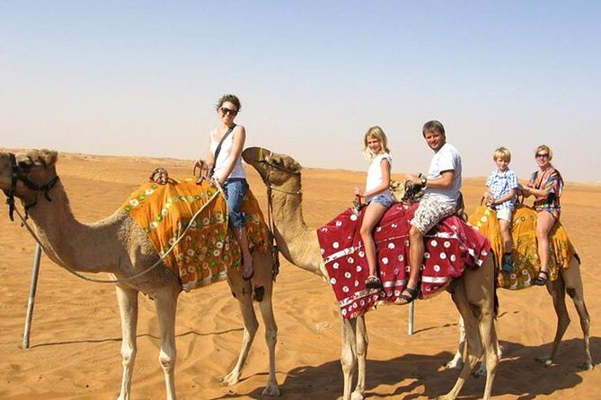 Two Day Guided Jaisalmer Local Sightseeing Trip by Cab - Key Points