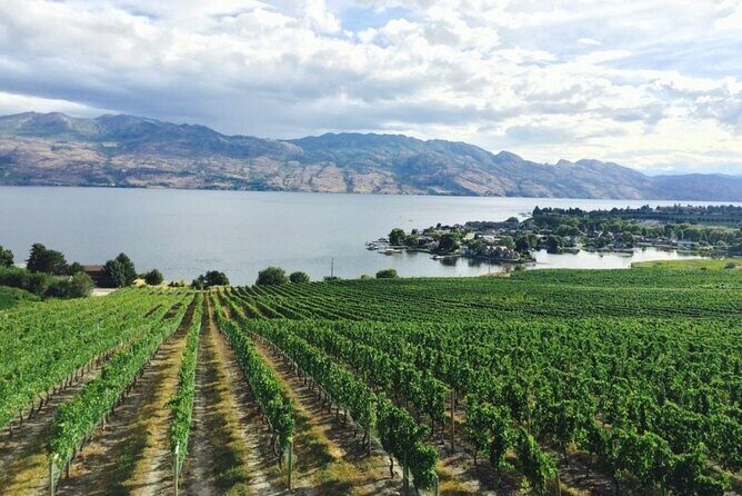 Two Day Private Wine and Bike Tour Vancouver to Kelowna - Two Day Private Wine and Bike Tour Vancouver to Kelowna: An Authentic Taste of BCs Vineyards and Scenery