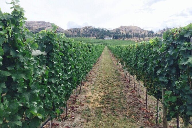 Two Day Private Wine and Bike Tour Vancouver to Kelowna - FAQ