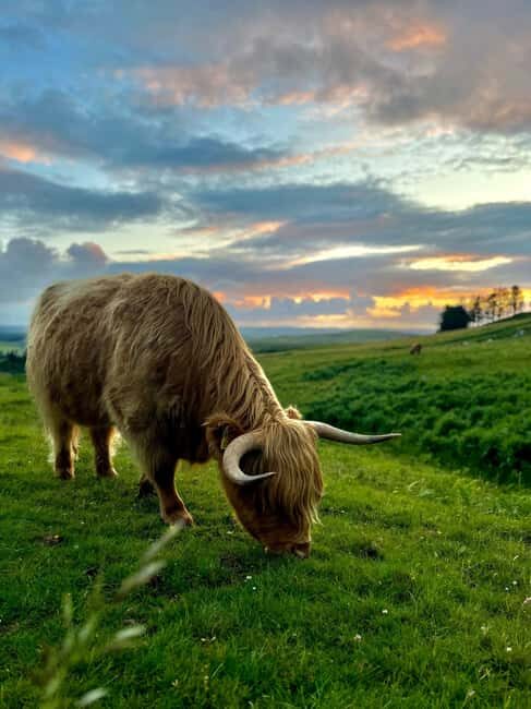 Two Day Taster Tour of Skye and the Highlands - Transport, Comfort, and Practicalities