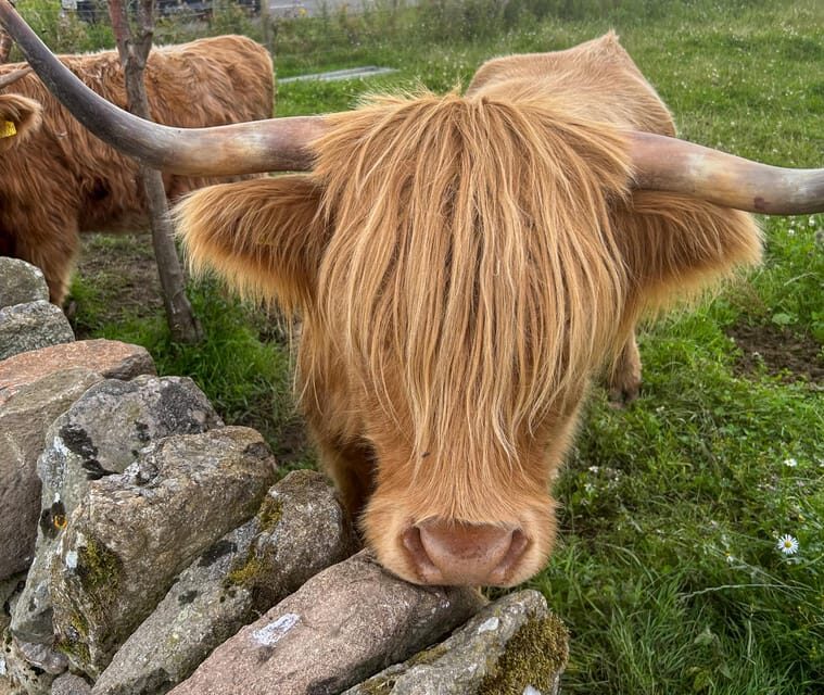 Two Day Taster Tour of Skye and the Highlands - An Overview of the Tour