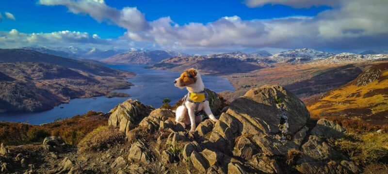 Two Day Taster Tour of Skye and the Highlands - Final Words