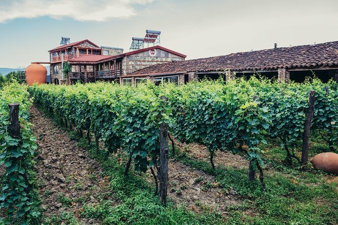 Two Days in Gorgeous Wine Region with Full board Meals and Tastings From Tbilisi - Final Thoughts