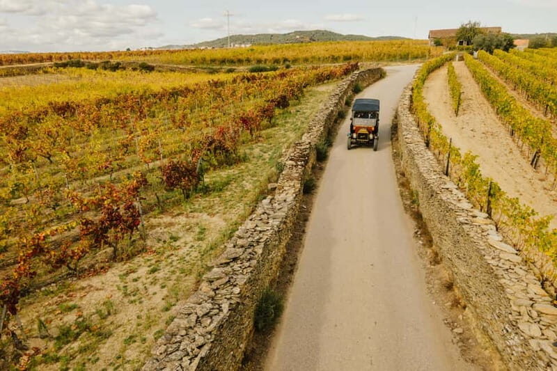Two days to visit Fall Foliage in Douro Valley - An In-Depth Look at the Douro Valley Fall Foliage Tour