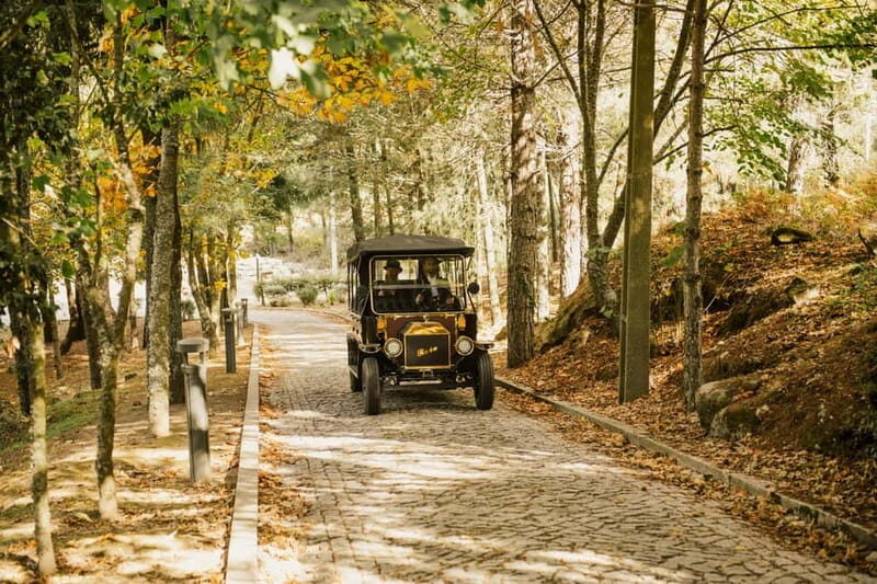 Two days to visit Fall Foliage in Douro Valley - Day Two: Vineyards, Classic Cars, and Authentic Tastes