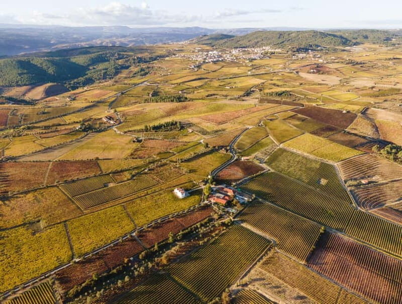 Two days to visit Fall Foliage in Douro Valley - Who This Tour Is Perfect For