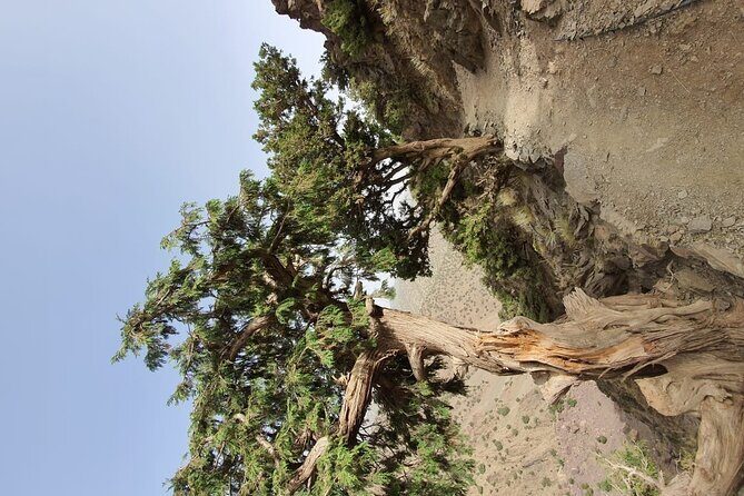 two days valley trek in the Atlas mountains - FAQs