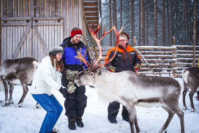 Two Full Days in Lapland - The Sum Up: Who Will Love This Tour?