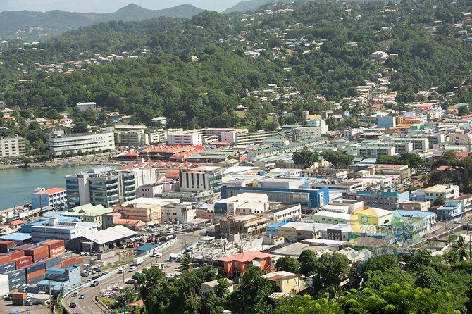 Two-hour Tour and Beach Break Family Groups only - Real Traveler Feedback