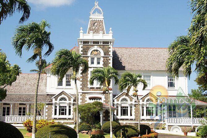 Two-hour Tour and Beach Break Family Groups only - FAQs