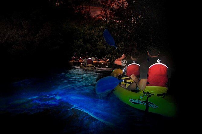 Two-in-One Day Trip: El Yunque and Bio Bay Tour with Transport - An Overview of the Tour Experience