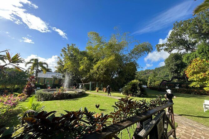 Two Islands One Paradise private Tour of St Kitts and Nevis - Introduction: What This Tour Offers and Why It Stands Out