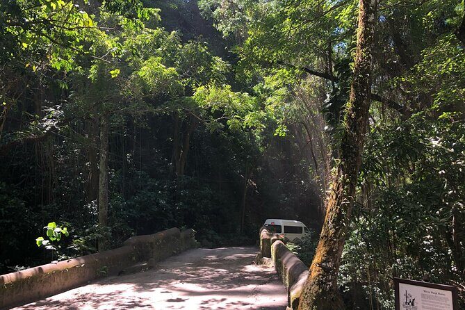 Two Islands One Paradise private Tour of St Kitts and Nevis - Transportation and Logistics