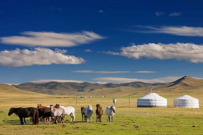 Two National Parks and Chinggis Khan Statue Complex tour at fresh air mongolia - Practical Details and Travel Logistics