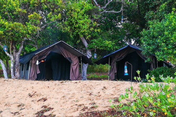 Two Night Beach Camp from Panama - Key Points