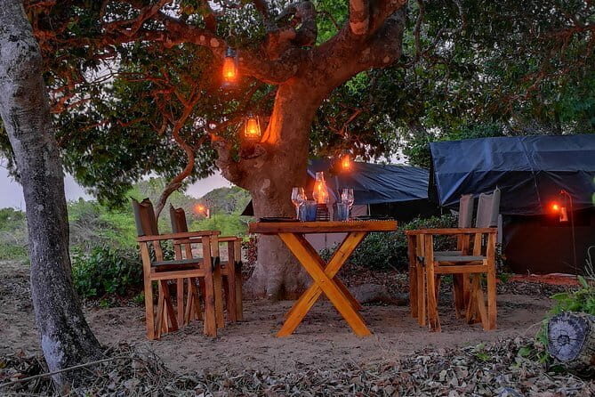 Two Night Beach Camp from Panama - The Itinerary: What to Expect on Your Coastal Adventure