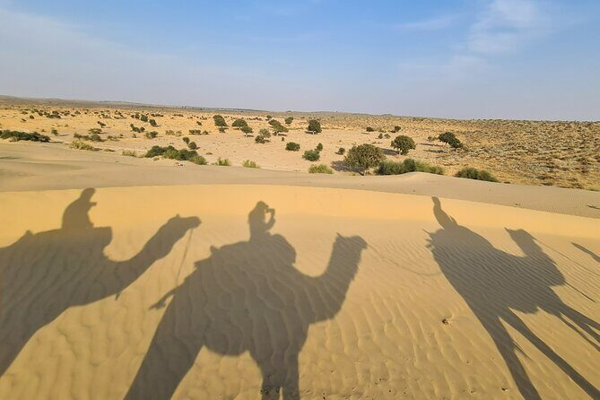 Two-Night Camel Safari and Desert Camping - Authenticity and Reviews: What Others Say