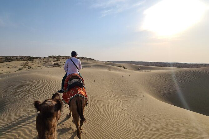Two-Night Camel Safari and Desert Camping - The Sum Up: Why This Safari Stands Out