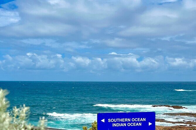 Two Oceans Private Tour - An In-depth Look at the Itinerary and Experiences