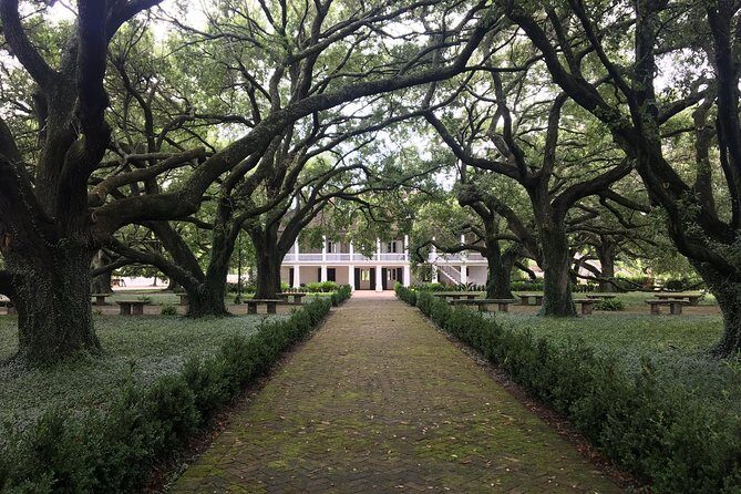 Two Plantation Tour: Oak Alley and Laura or Whitney - To sum it up