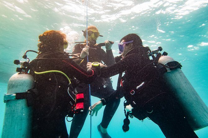 Two reef discovery dives with professional instructor (no experience necessary) - An In-Depth Look at the Experience