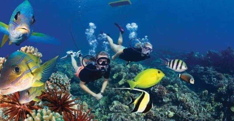 Two Stop Deluxe Molokini Snorkel - Analyzing the Value
