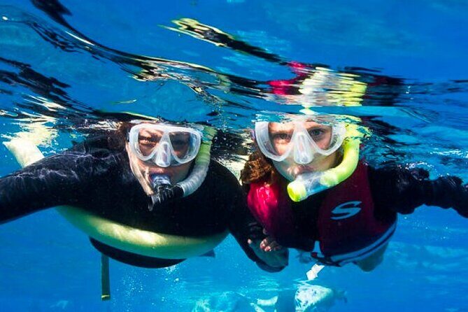 Two Stop Snorkel Adventure from Maui - Key Points