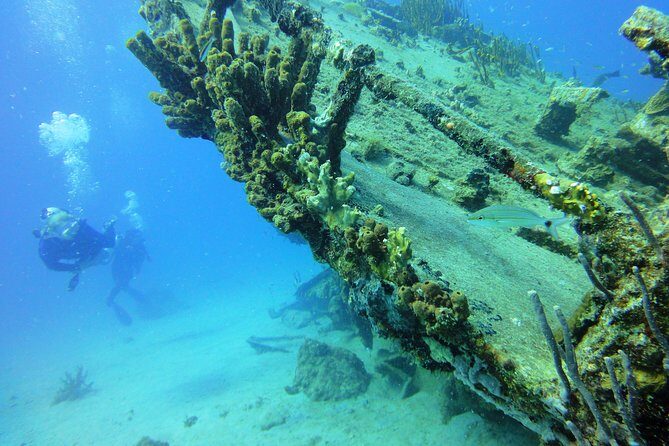 Two-Tank Dive for Certified Diving in St Thomas - The Sum Up: Why Choose This Experience?