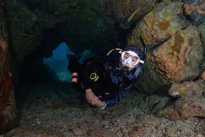 Two-Tank Morning Dive Trip for Certified Divers - The Sum Up: Who Will Love This Tour?