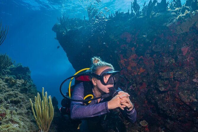 Two-Tank Morning Dive Trip for Certified Divers - FAQ: Your Practical Dive Questions Answered