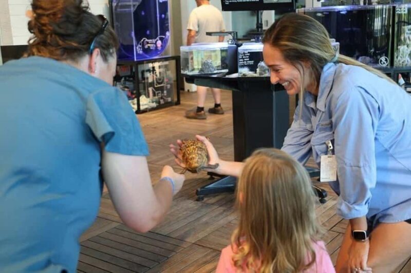 Tybee Island Marine Science Center Entry Ticket - Exploring Georgia’s Coastal Ecology at the Tybee Island Marine Science Center
