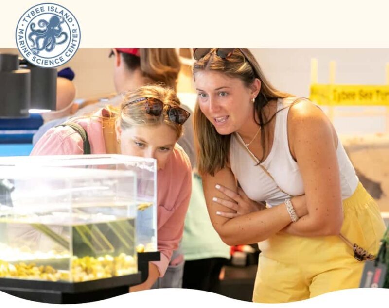 Tybee Island Marine Science Center Entry Ticket - Practical Details and Tips
