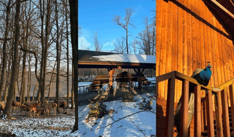 Tychy: Brewery Museum Tour with Tastings and Bison Reservoir - Why This Tour Offers Real Value
